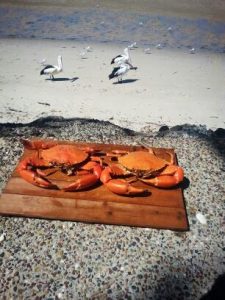 Gallery | Burrum Sands