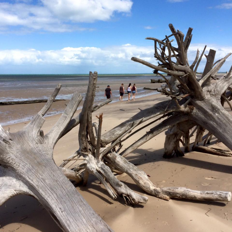 Gallery | Burrum Sands