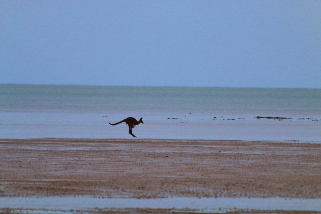 Gallery | Burrum Sands